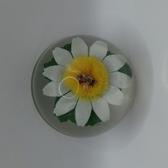Accents | Vintage Clear Lucite Round Paperweight Daisy Flower With Bee ...